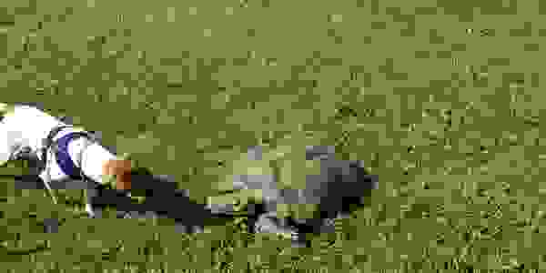 Tiny Home Community - CIRCLE POND TINY COMMUNITY